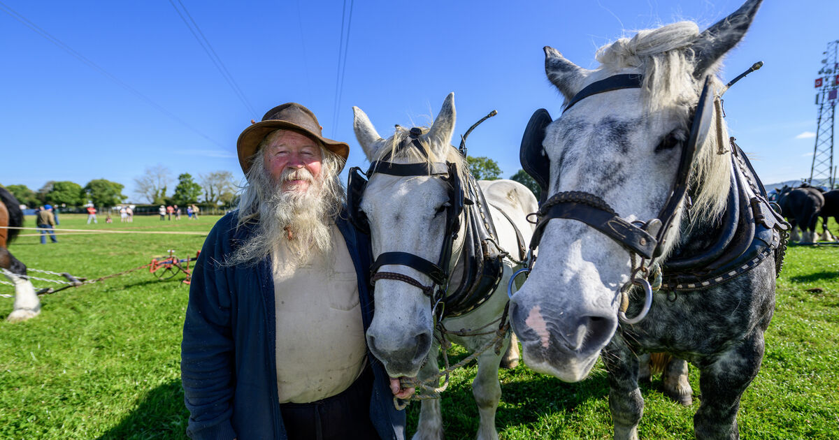 Watch: Jerry from Kerry on this year's Ploughing Championships