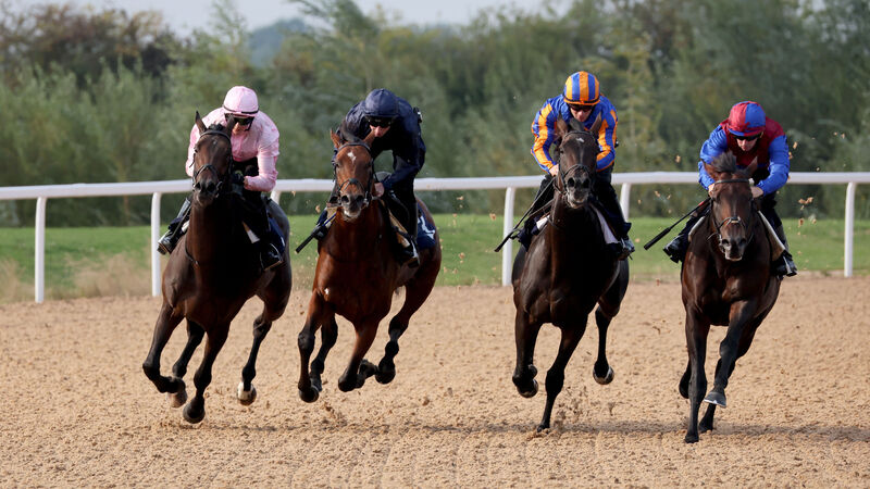 City Of Troy comes through Southwell gallop with flying colours