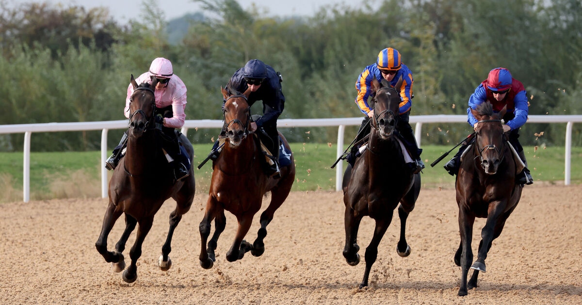 City Of Troy comes through Southwell gallop with flying colours