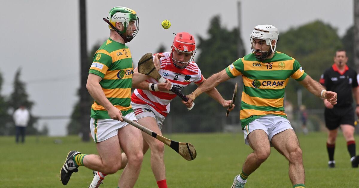 Ballygiblin come back from seven down to seal semi-final spot
