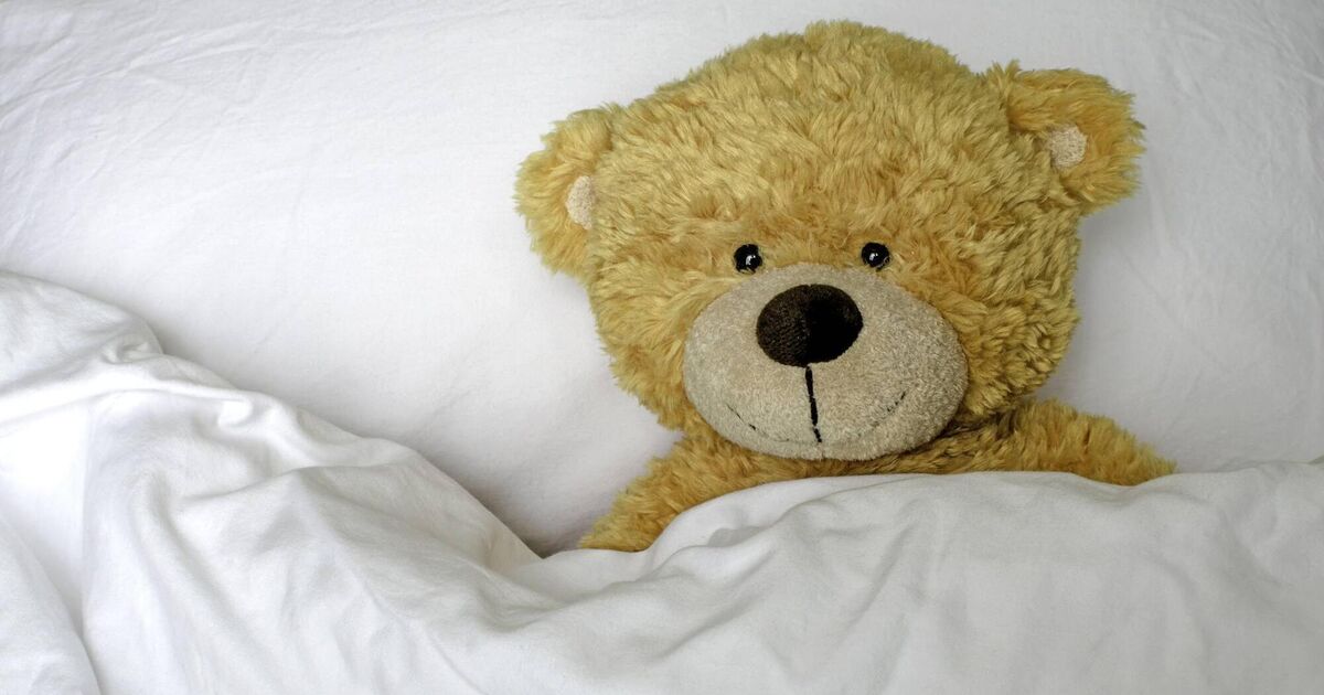 Julie Jay: We get 40 winks after hoodwinking son into sleeping in his room
