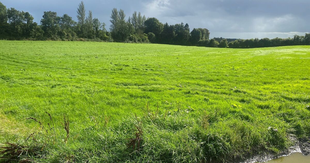 Wicklow farm priced at €10.5k/acre for October auction