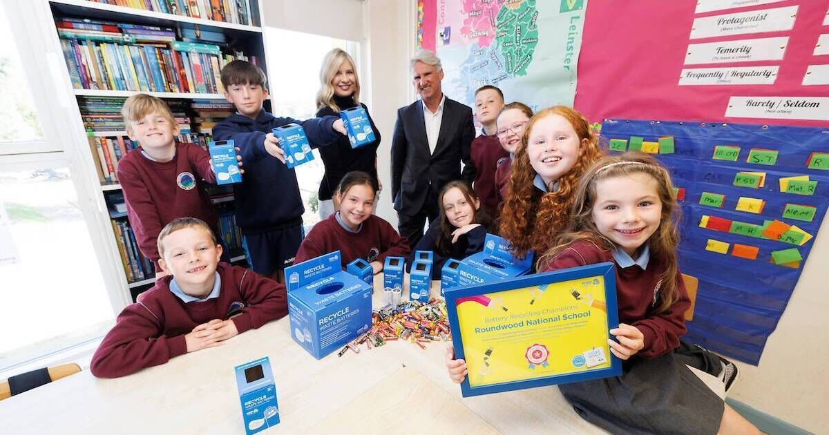 Cork schools save more than 141,000 batteries from landfills with ...