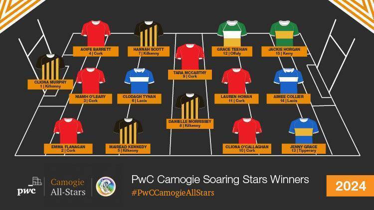 Ger Manley named Manager of the Year as Cork lead way in Camogie ...