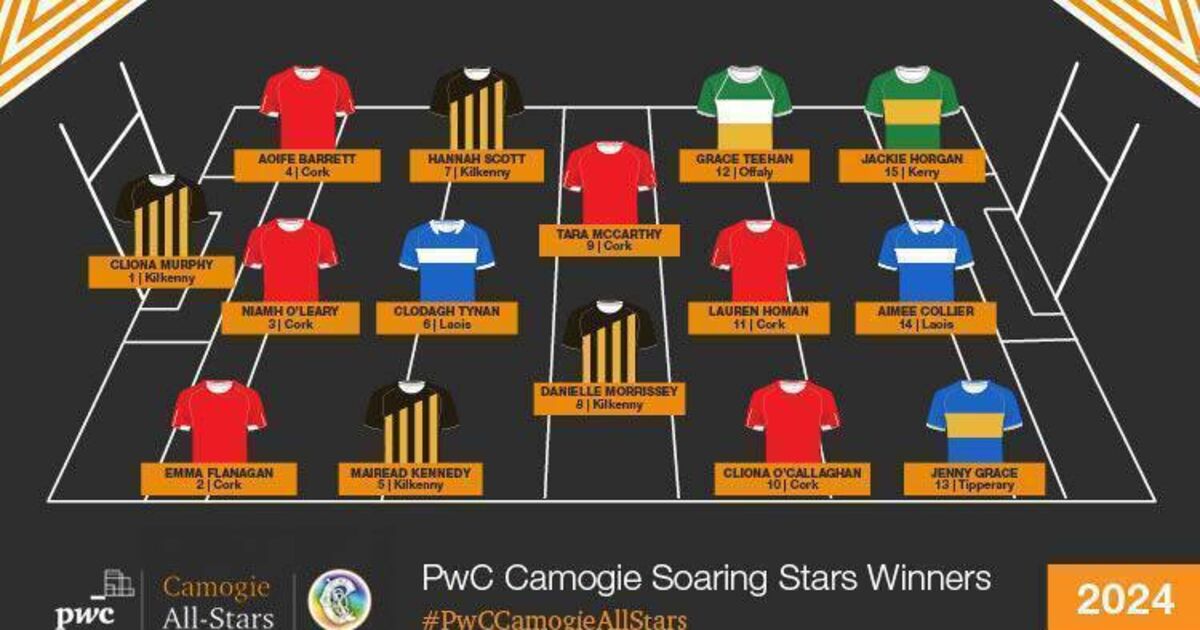 Ger Manley named Manager of the Year as Cork lead way in Camogie ...