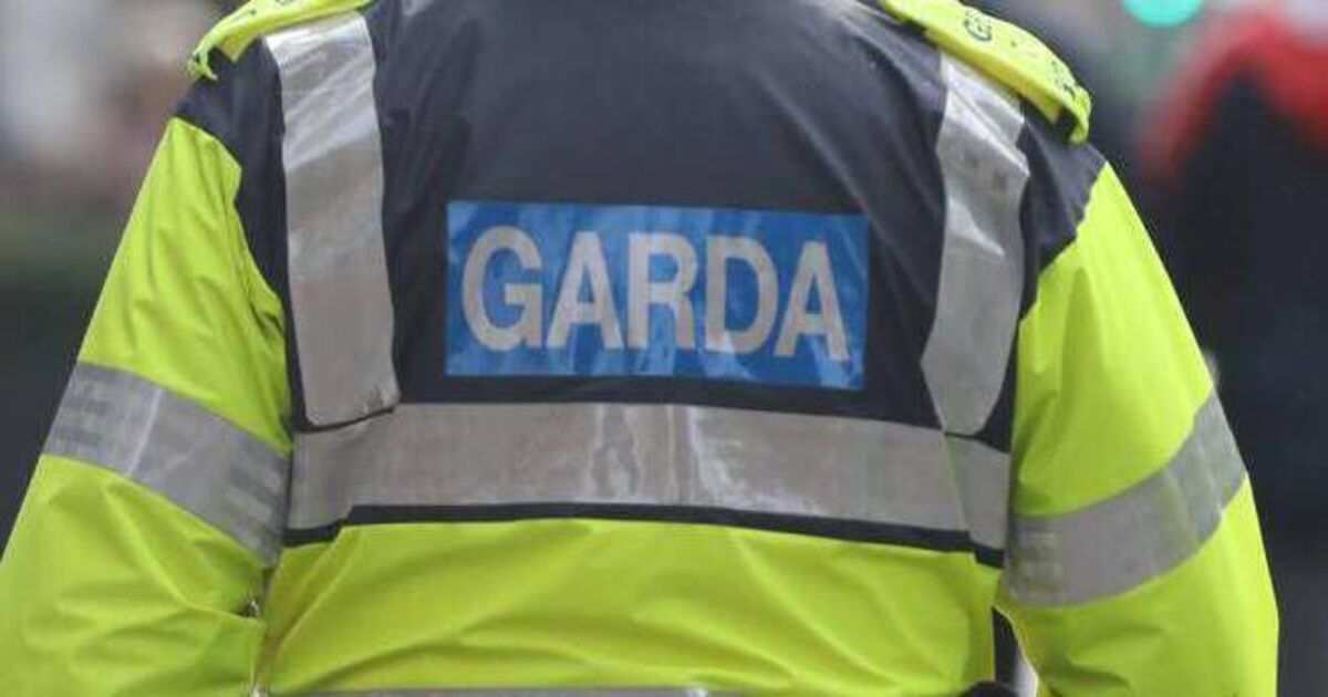 Gardaí find sawn-off shotgun and ammunition hidden in abandoned vehicle