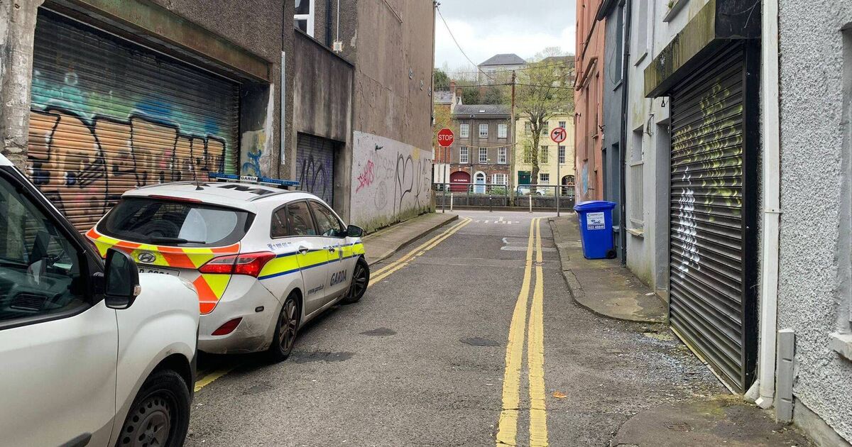 Cork men accused of beating Chinese nationals with crowbar further ...