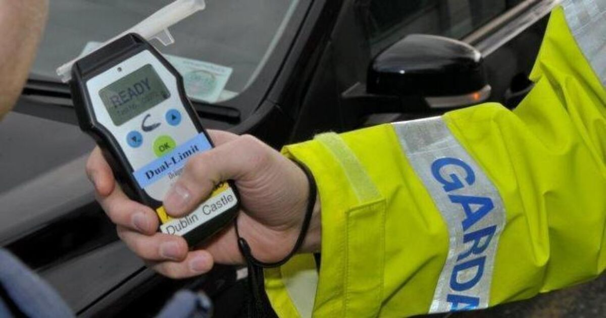 Cork MMA fighter Brian Manning gets community service for fifth drink ...