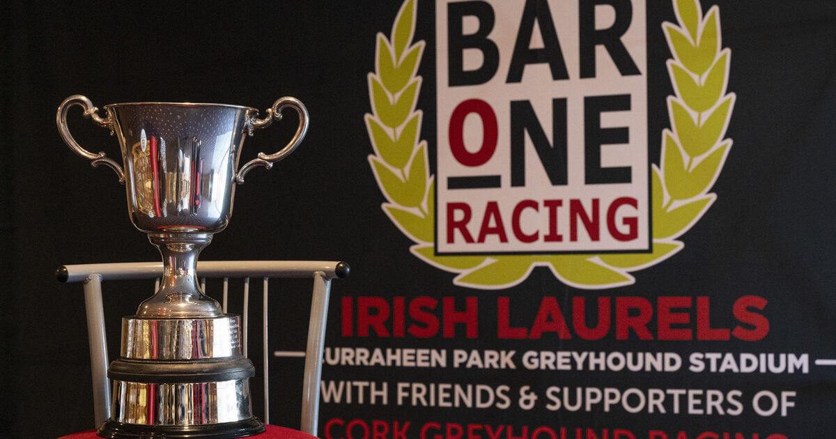 Crafty Shivoo makes history with superb Laurels victory