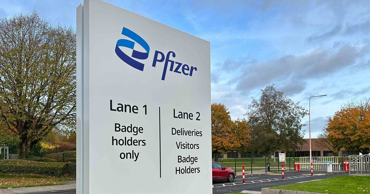 Activist Starboard Value takes $1bn stake in Pfizer