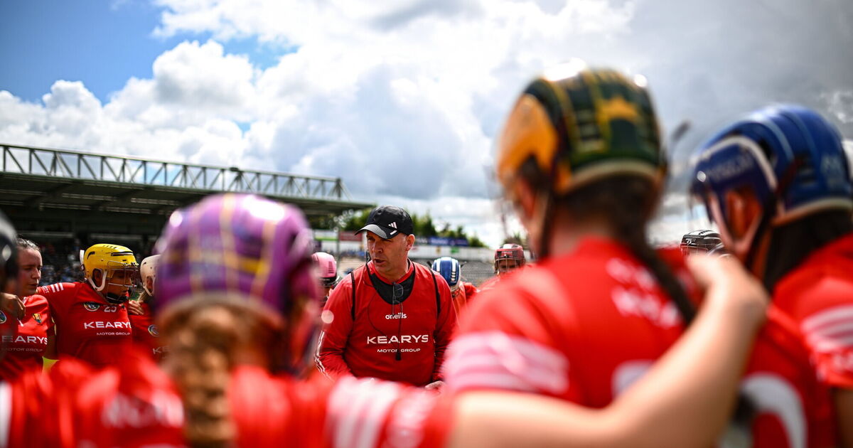 Ger Manley pays tribute to 'super coach' Liam Cronin as Cork search for ...