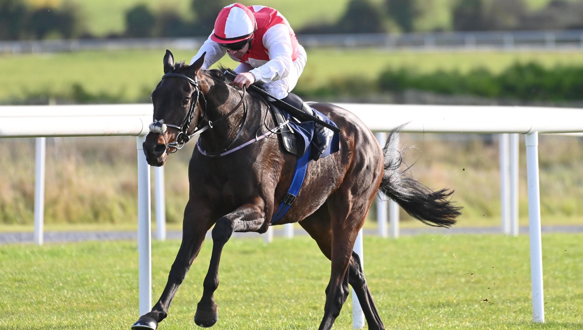 Hello Neighbour maintains unbeaten record