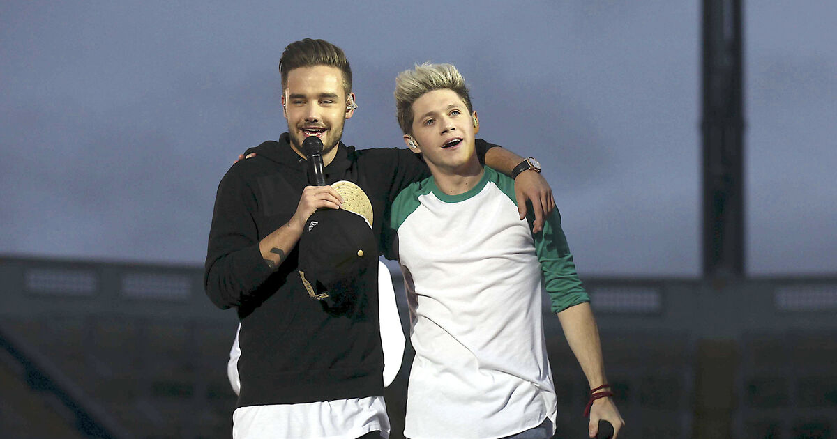 'Love you brother': Niall Horan pays moving tribute to One Direction ...