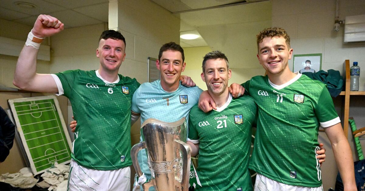 Graeme Mulcahy announces retirement from the Limerick senior hurlers