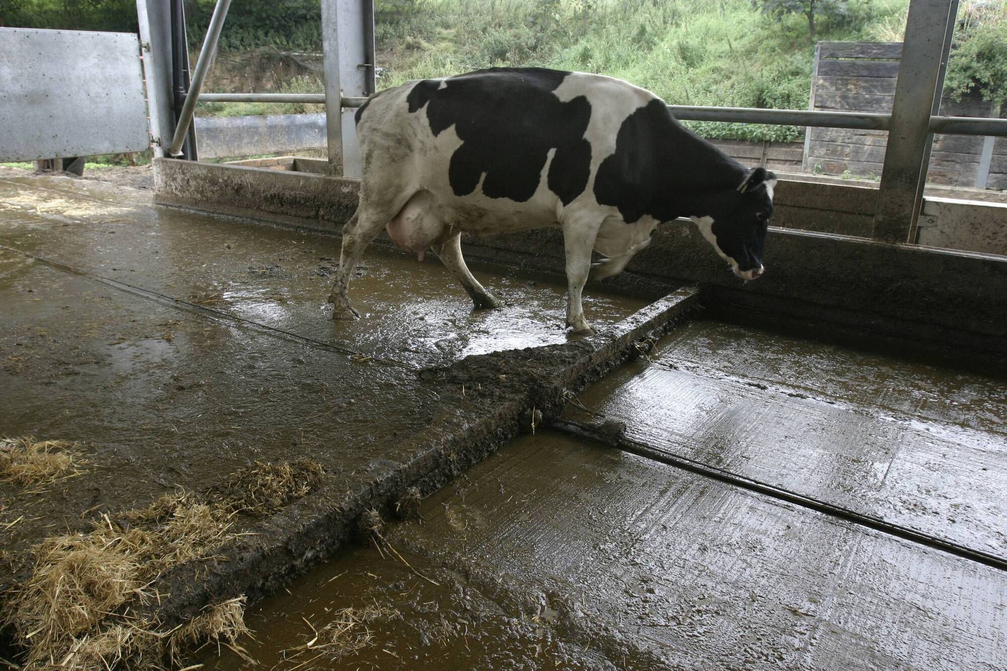 Preventing water entering your slurry tank