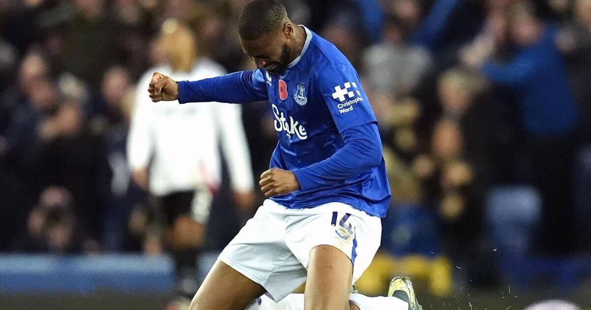 Beto provides rescue act for Everton with late equaliser to deny Fulham