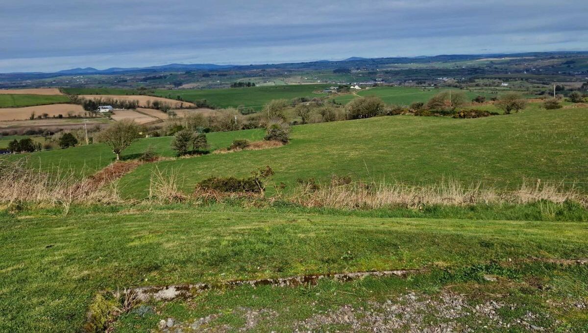 Offers already in for 34-acre West Cork farm