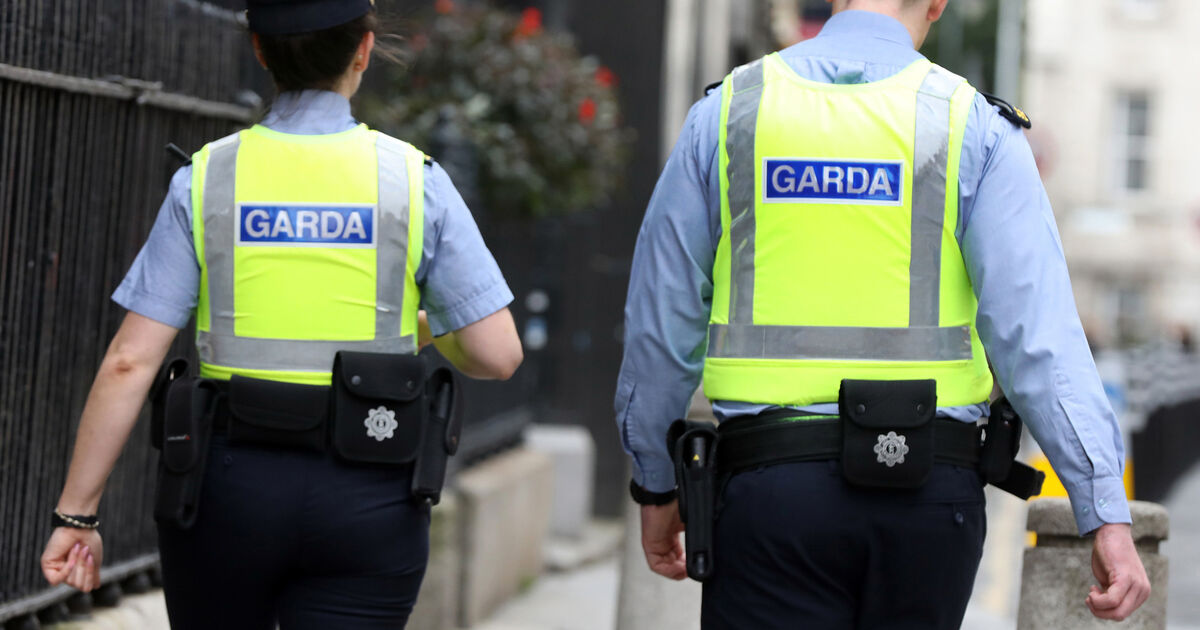 Councillors call on Drew Harris to address falling garda numbers in Cork