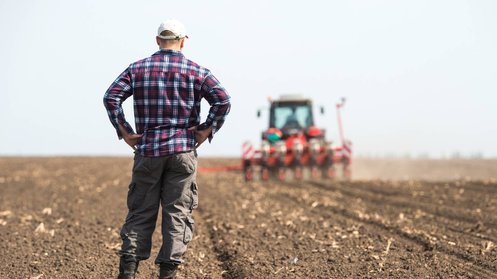 Decoding the changes in Agricultural Relief: FDC Group’s guide for ...