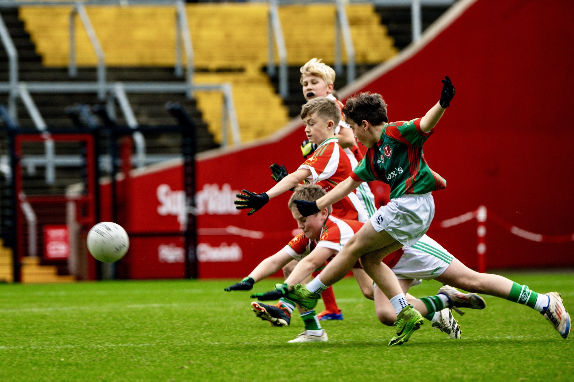 Sciath na Scol: Joy for Gaelscoil Charraig Uí Leighin, Rochestown ...