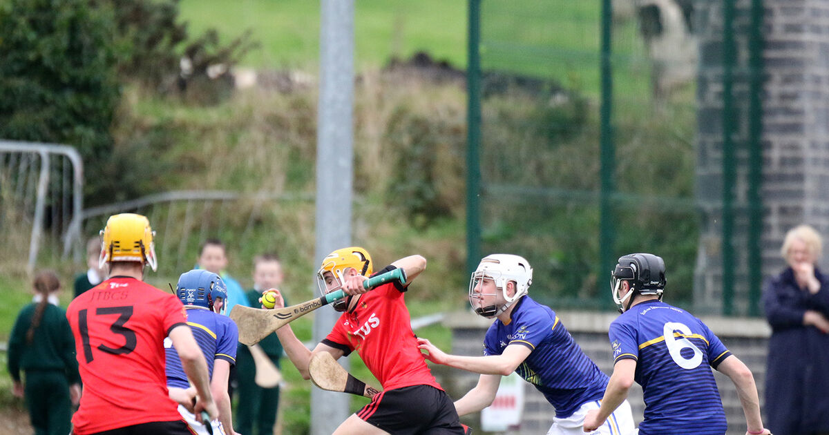 Harty Cup: Flanagan earns share of spoils for Hospital in Limerick derby