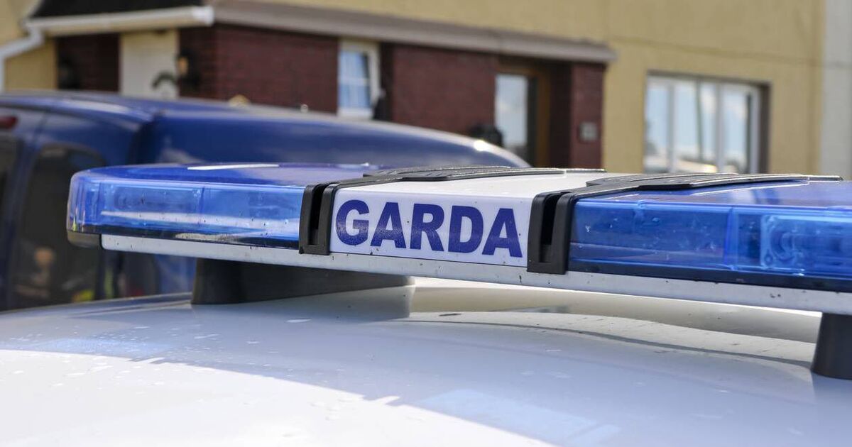 Garda management questions claims it racially profiles Travellers