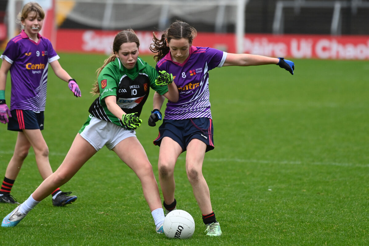 Sciath na Scol: Three-in-a-row for St Anthony's as Shanbally and ...