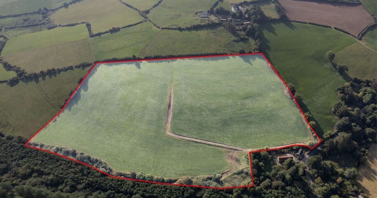 19-acre North Cork holding already has offer on the table