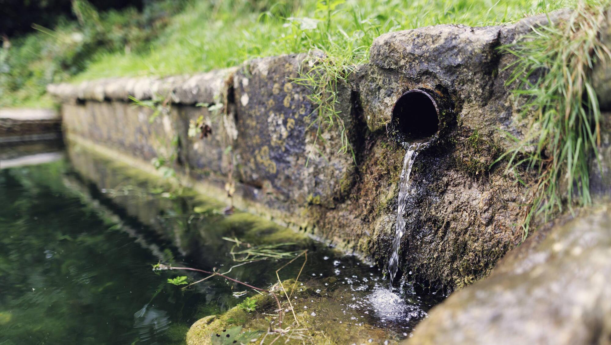 Water pollution has no one cause but many small steps and working ...