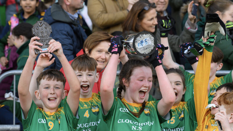 Canovee edge Sciath thriller, Conna masterclass