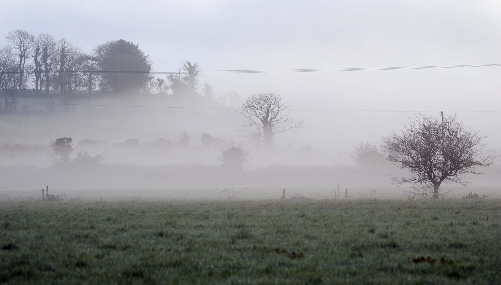 Met Éireann issues status yellow fog warning for most of the country