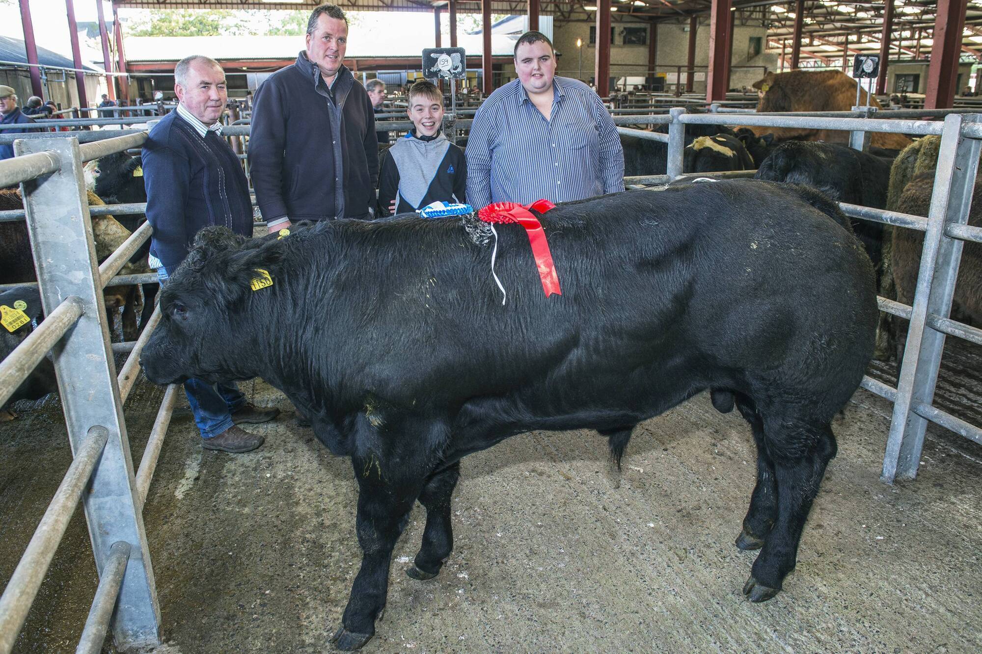 New Cork Marts chief executive to take over in 2025