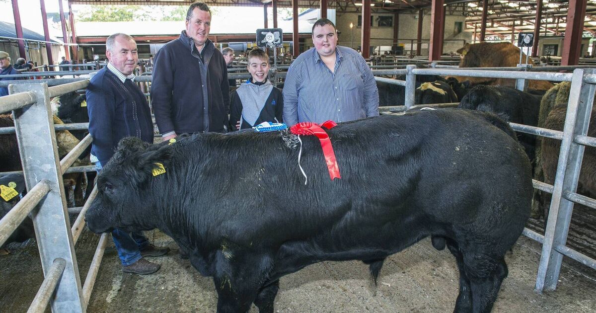 New Cork Marts chief executive to take over in 2025