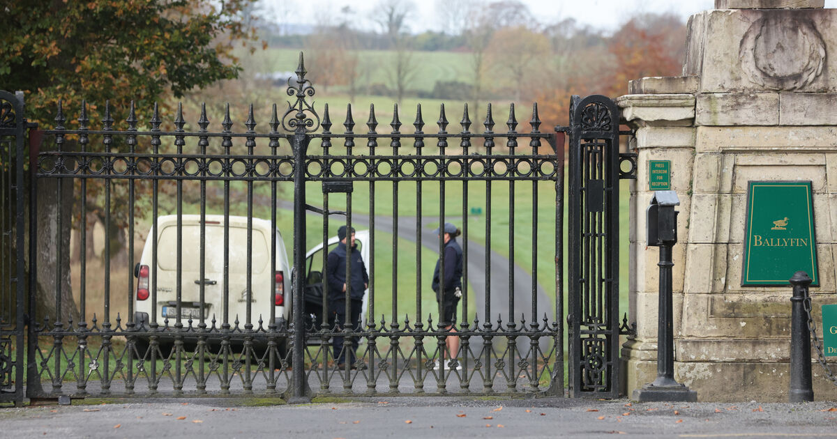 Man, 30s, due in court in relation to death of US national at Ballyfin ...