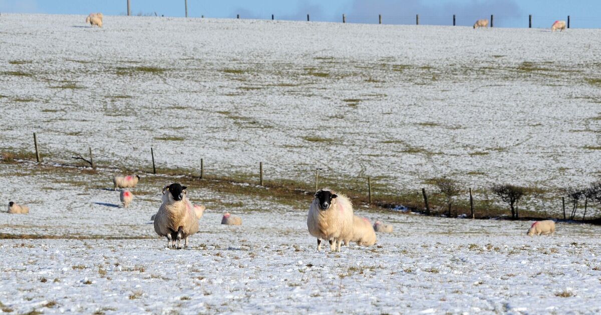 People 'are going to get quite a shock' as 'first cold snap of the ...