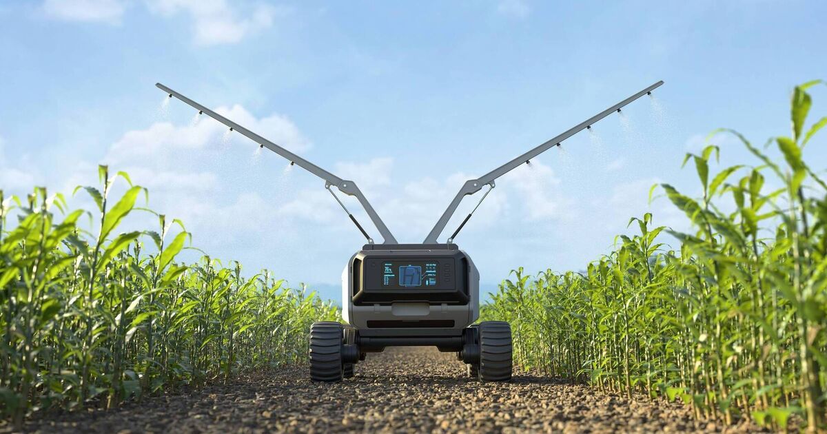 Robot farming in West Cork