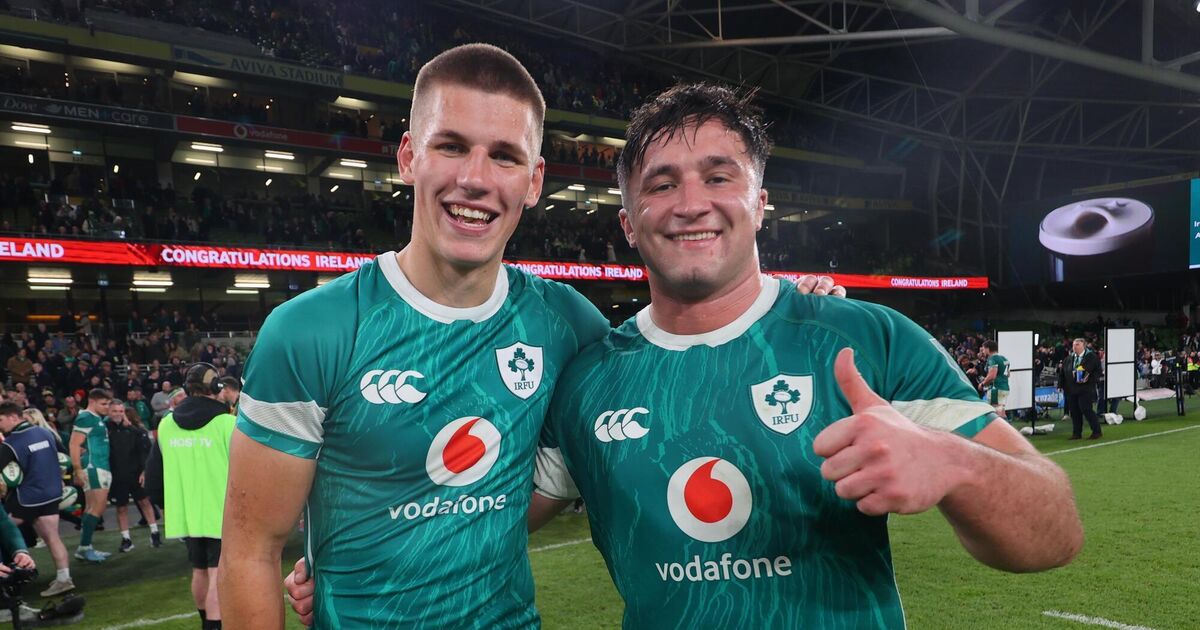 Elation and frustration: Mixed nights for Leinster's Ireland debutants ...