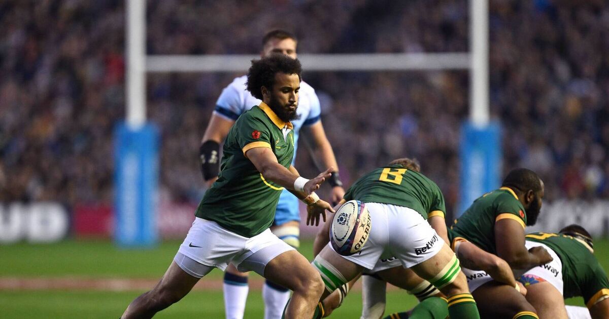 Brotherly love as Springboks select siblings as half-back pairing