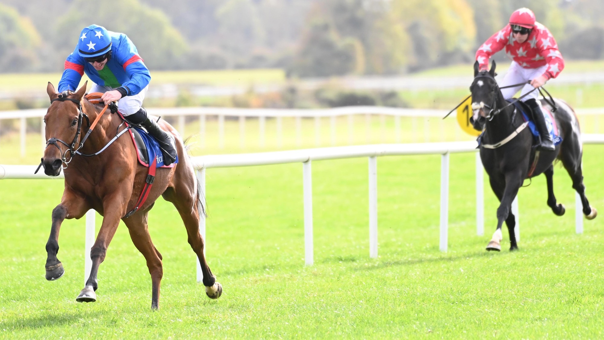 Step up in trip can do trick for Minella Sixo at Thurles