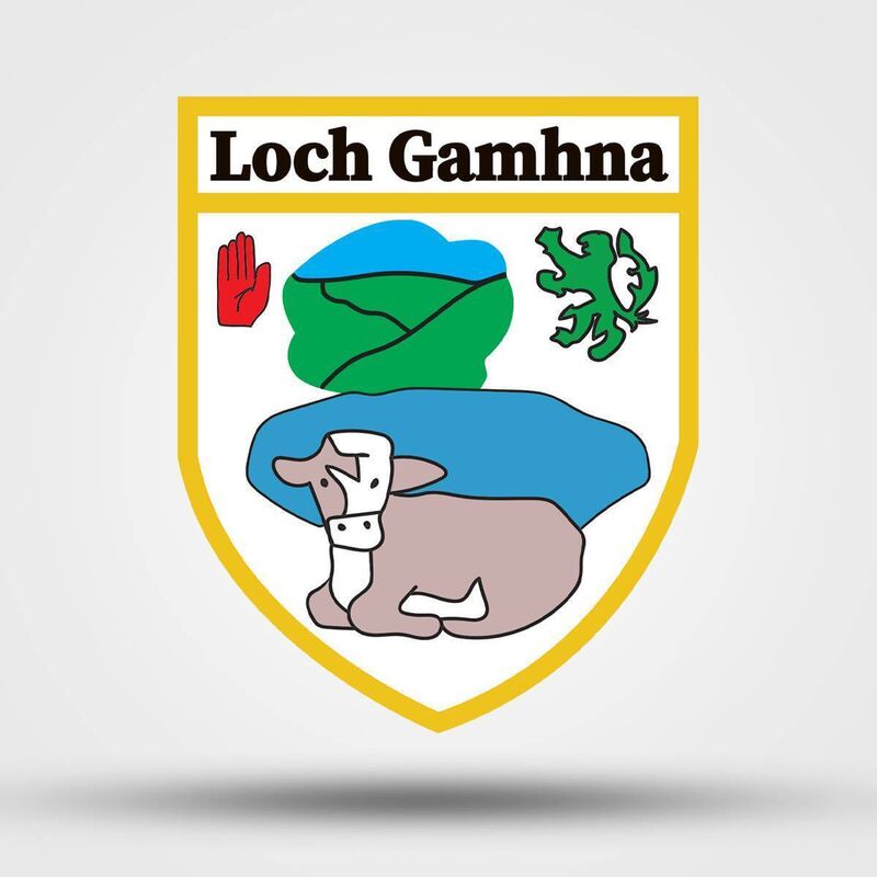 We looked at every GAA crest in the world — here’s what we found