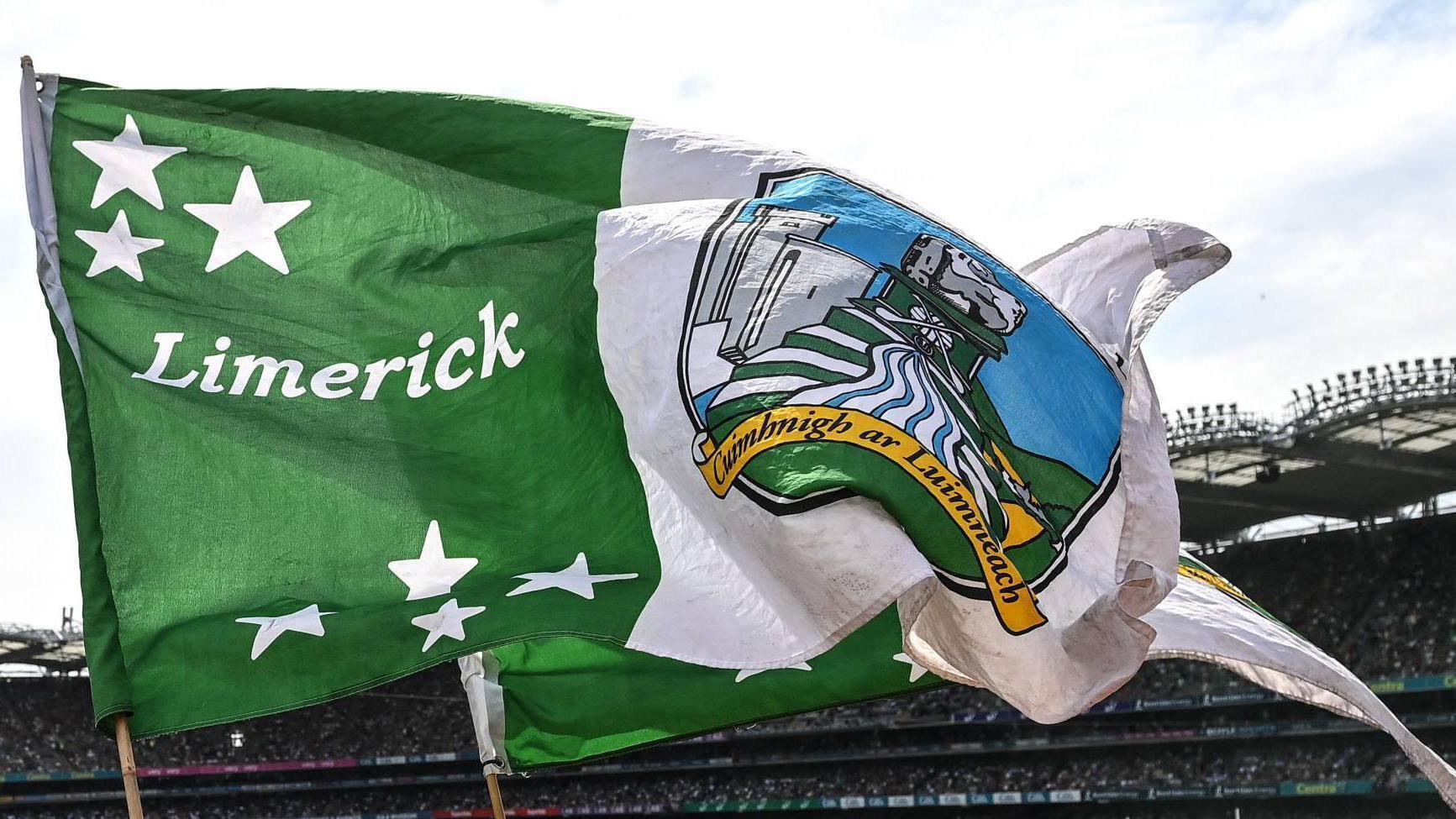 Matthew Fitzgerald hits late winner for Monaleen in nail-biting ...