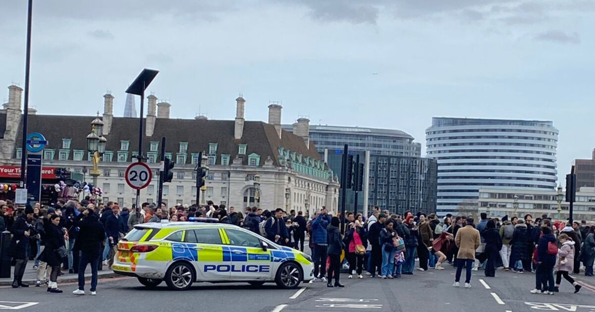 Man ‘stabbed’ on Westminster Bridge actually suffered cardiac arrest ...