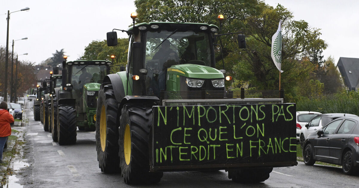 Stephen Cadogan: European food producers are split on the advance of ...