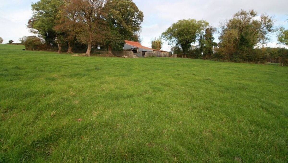 43-acre holding on Limerick/Cork border guiding in excess of €300k