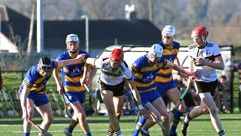 Harty Cup: Nenagh CBS face De La Salle College in knockouts