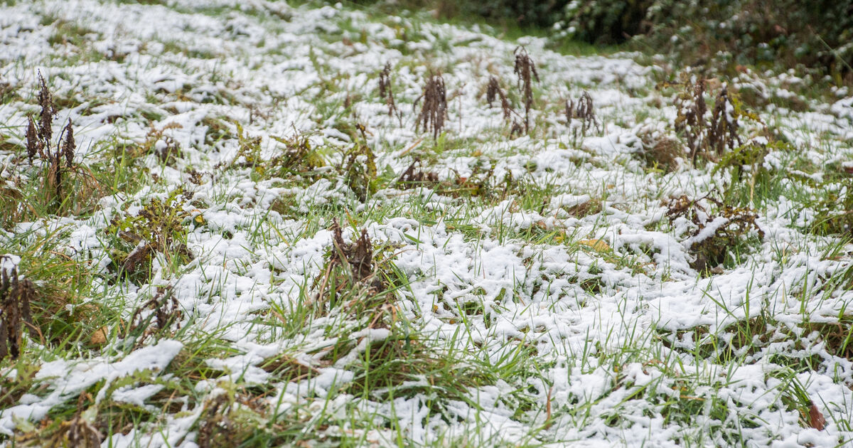 Fog warning issued with temperatures set to drop to -3C