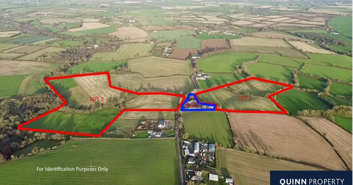 40-acre farm in heart of Wexford goes under the online hammer