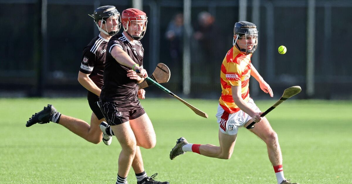 Late Midleton goal blitz sees off Newcestown in Cork U21 A hurling semi ...
