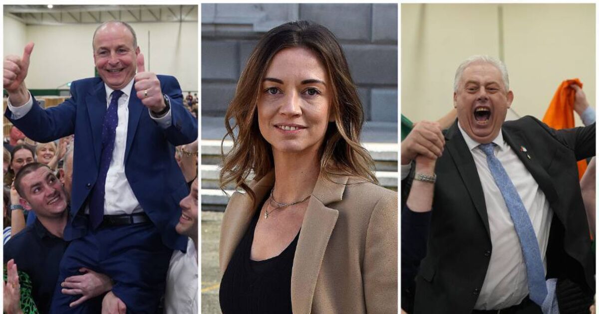 Here's everything you need to know about the new TDs for Cork