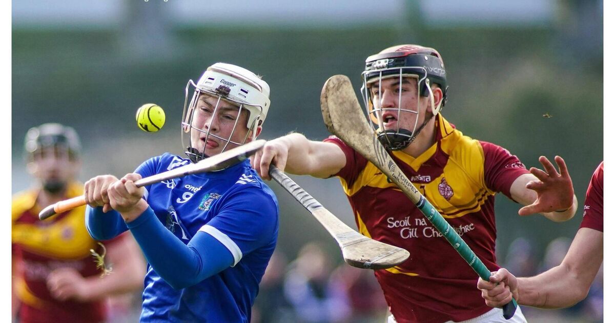 Harty Cup Preview: Champions Nenagh CBS and De La Salle clash in prelim ...